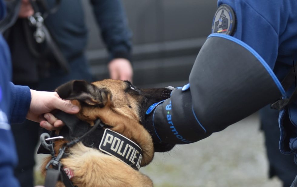 Dog Armour PRO | Anti-Bite Gear for Dogs and Trainers